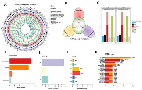 The Whole Genome And Targeted Exome Sequencing Results After The Download Scientific Diagram