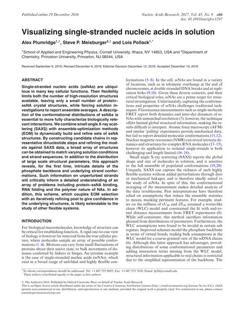 Pdf Visualizing Single Stranded Nucleic Acids In Solution