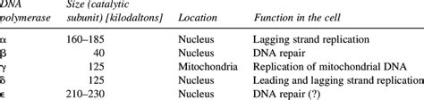 The Structural And Functional Properties Of Human Dna Polymerases Download Table