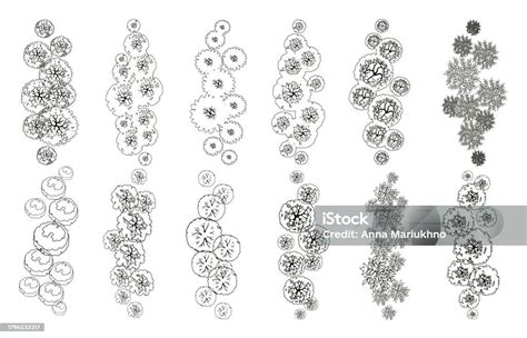 건축 평면도의 나무 측근 디자인 다양한 나무 관목 및 관목 조경 설계 계획의 평면도 벡터 일러스트 레이 션입니다 개체 그룹에 대한 스톡 벡터 아트 및 기타 이미지 Istock