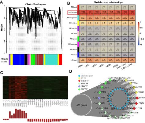 Figure 2 From Whole Genome Identification And Analysis Of Multiple Gene Families Reveal