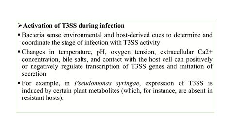 Type Iii Bacterial Secretion System Pptx