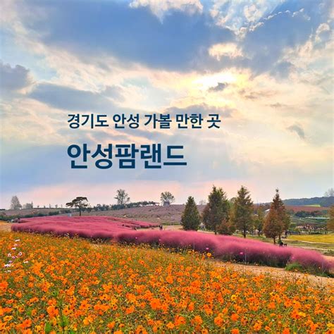 안성팜랜드 체험형 목장 가을 가족 나들이 인생사진 촬영하기 좋은 곳 입장료 관람료 및 놀이기구 매표 정보 네이버 블로그