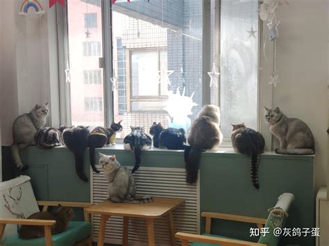 运气游戏推荐 知乎