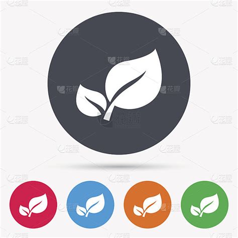 叶图标新鲜有机产品标志