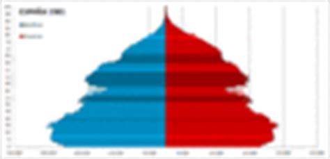Category Animated Population Pyramids Wikimedia Commons