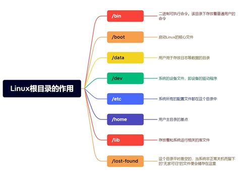 深入解析linux目录体系：从根目录到bin目录的全面指南 Linux命令大全手册
