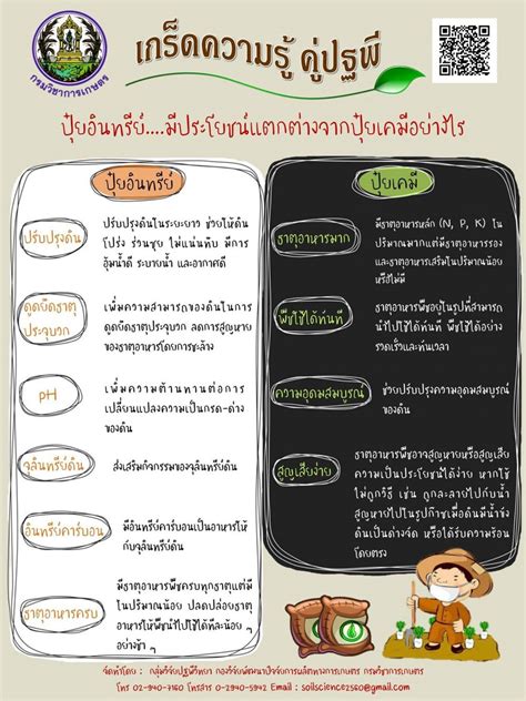 ปุ๋ยอินทรีย์ มีประโยชน์แตกต่างจากปุ๋ยเคมีอย่างไร เงินทุนหมุนเวียนใน