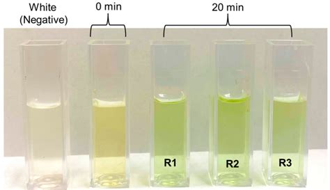 Colorimetric Assay For Abts Oxidation Analysis Download Scientific
