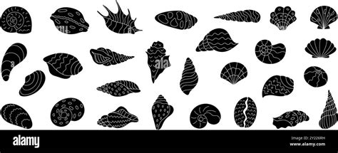 Cartoon Sea Shells Silhouettes Set Stock Vector Image And Art Alamy