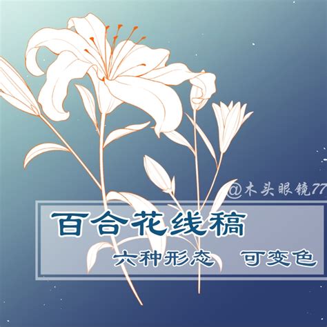 小雏菊线稿 一大块木头优动漫官 绘画素材商城