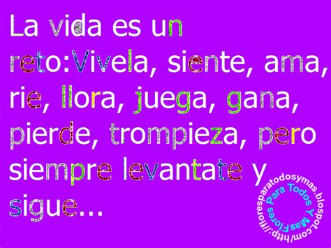 Flores Para Todos Y Mas La Vida Es Un Reto