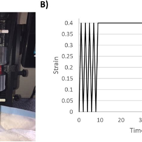 A Ea Compression Testing Setup And B Example Strain Versus Time S