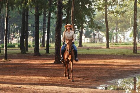 89000 Girl Riding Horse Bikini Pictures