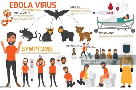 세부 사항의 디자인 에볼라 바이러스 기호 증상 및 예방 인포 그래픽 벡터 개념 건강 및 의료 벡터 그림 건강관리와 의술에 대한 스톡 벡터 아트 및 기타 이미지 Istock