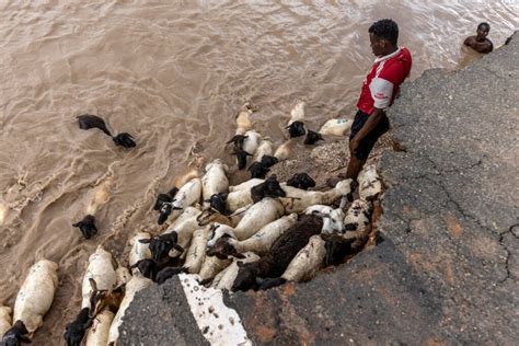 Kenyan Farmer Reel From Floods Harvest Money