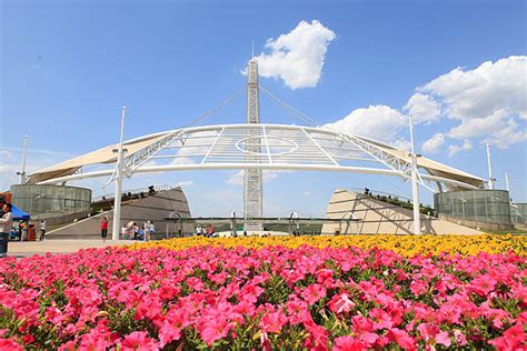 沈阳世博园旅游 阳世博园 阳世博园正门 大山谷图库