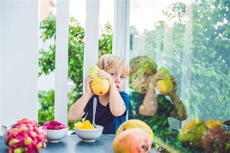 Kleiner Netter Junge Der Mango Auf Der Terrasse Isst Stockbild Bild