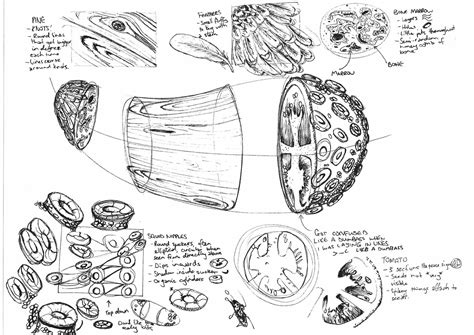 Drawabox Lesson 2 Review