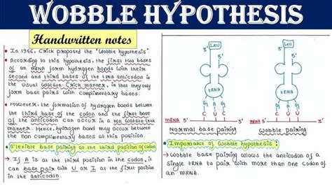 Wobble Base Pair