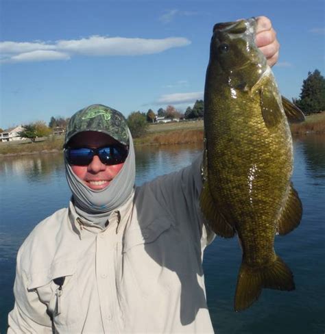 Spring Smallmouth Heaven Learn These Lake Smallmouth Spring Tips