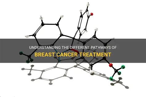 Understanding The Different Pathways Of Breast Cancer Treatment Medshun