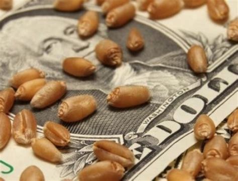 Детективи НАБУ підозрюють у розтраті 58 мільйонів екс директора Луцького комбінату хлібопродуктів №2