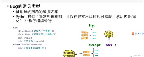 Python Bug Csdn