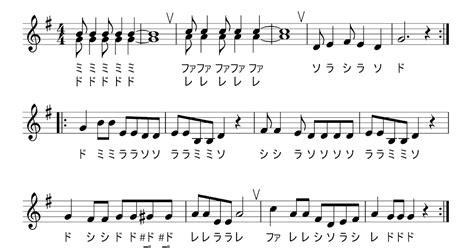 いろんな木の実