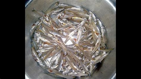 Morola Macher Kachki Macher Jhaal Chachori Recipe Best Morola Fish