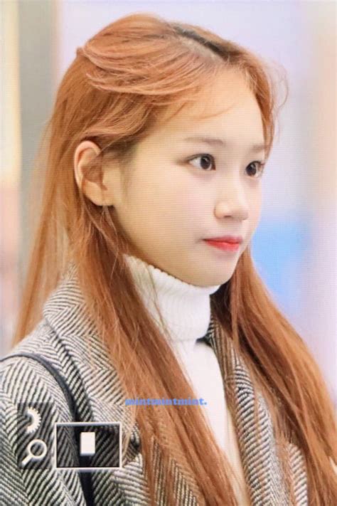 잡담 김채원 장발이라면 내가 잘 알지 인스티즈 instiz 연예 카테고리