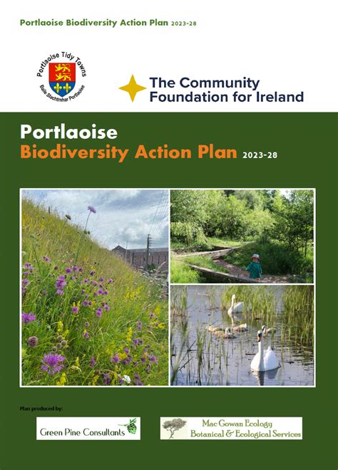 Portlaoise Biodiversity Action Plan 2023 2028 Actions For Biodiversity