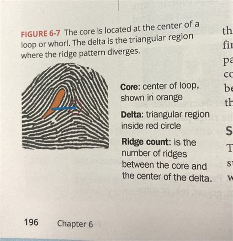Ch 6 Forensic Science Test Flashcards Quizlet