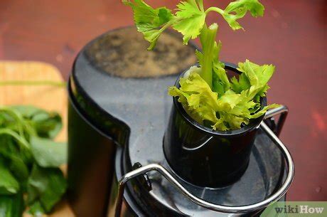 Ways To Make Celery Juice WikiHow Life