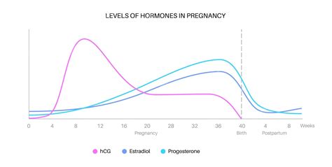 Premium Vector Levels Of Hormones In Pregnancy Infographic Hcg Estradiol And Progesterone In