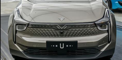 U字车标新能源是什么车 有驾