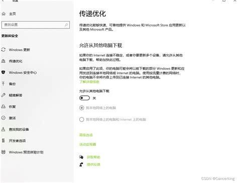 Windows10设置系列：系统优化 Csdn博客