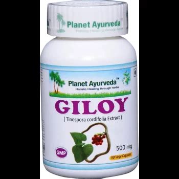 Giloy (60 kapsulas) – FitFactory