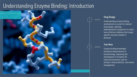 Understanding Enzyme Binding Mechanisms And Importance PPT Sample ST AI PPT Template