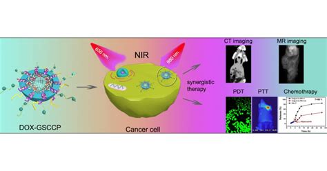 Imaging Guided And Light Triggered Chemo Photodynamicphotothermal