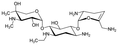 Image Netilmicin Structure