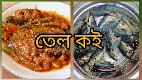 তেল কই রেসিপি কই মাছের রেসিপি Bengali Fish Cury Recipe Youtube