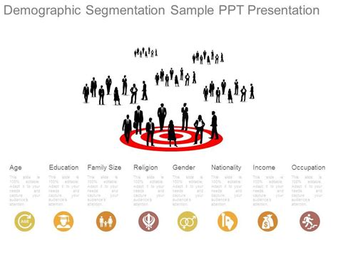 Demographic Segmentation Sample Ppt Presentation PowerPoint Templates Download PPT