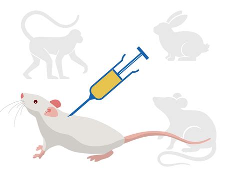 Animal Experimentation Online Course Cpd Accredited Cbehx