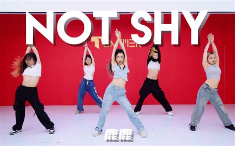 【童门舞蹈站】鹿鹿编舞 Not Shy 童门舞蹈站 童门舞蹈站 哔哩哔哩视频