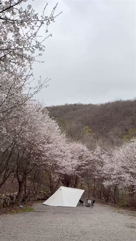 아빠곰캠핑사진 Appagomcamper • Instagram Photos And Videos