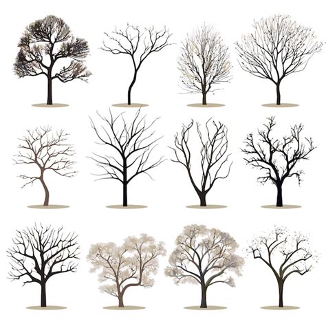 Premium Vector Vector Collection Of Winter Tree Premium Vector Vector Collection Of Winter Tree
