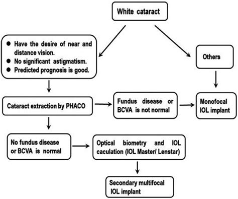 Overview Of A Flowchart For White Cataract Patients Download Scientific Diagram