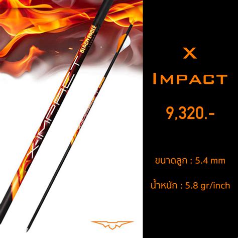 ใครอยากได้ลูกธนูแบบเบาๆ สนามยิงธนู Archery Thai