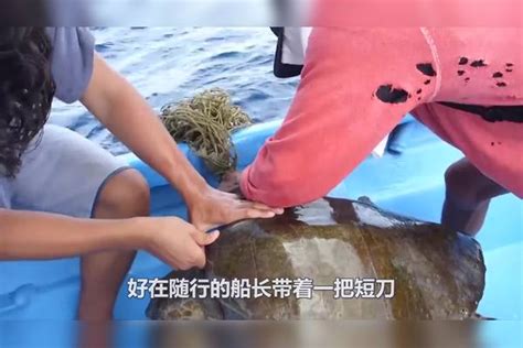 海龟被绳子勒住脖子，游到船边向人类求助，镜头记录感人一幕脖子海龟人类